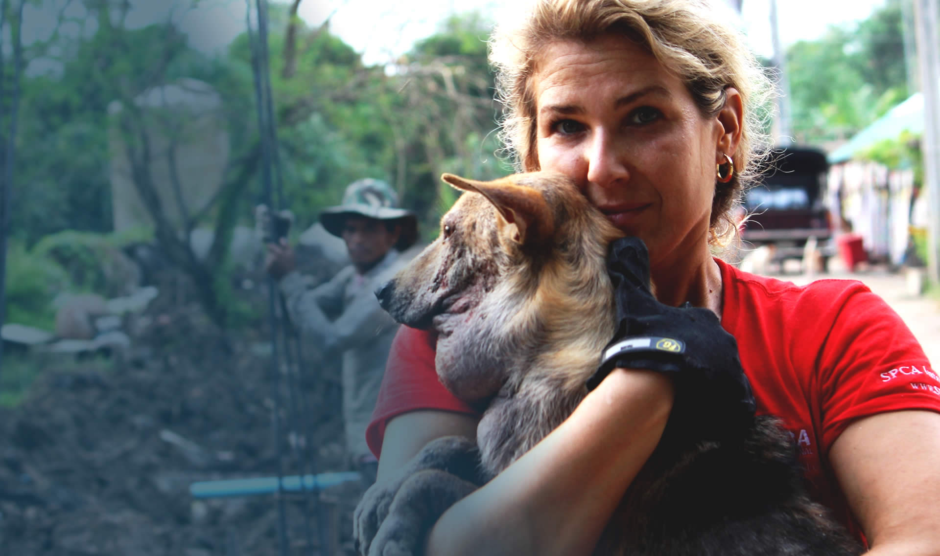Donate Disaster Relief Fund - SPCA International