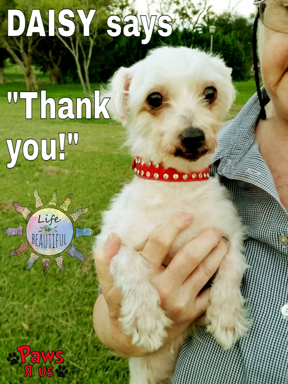 Paws R Us - SPCA International