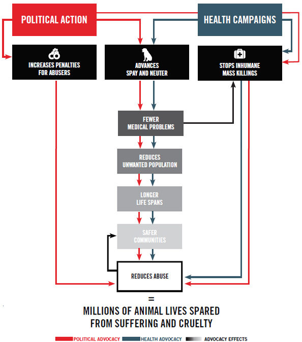 Education - SPCA International