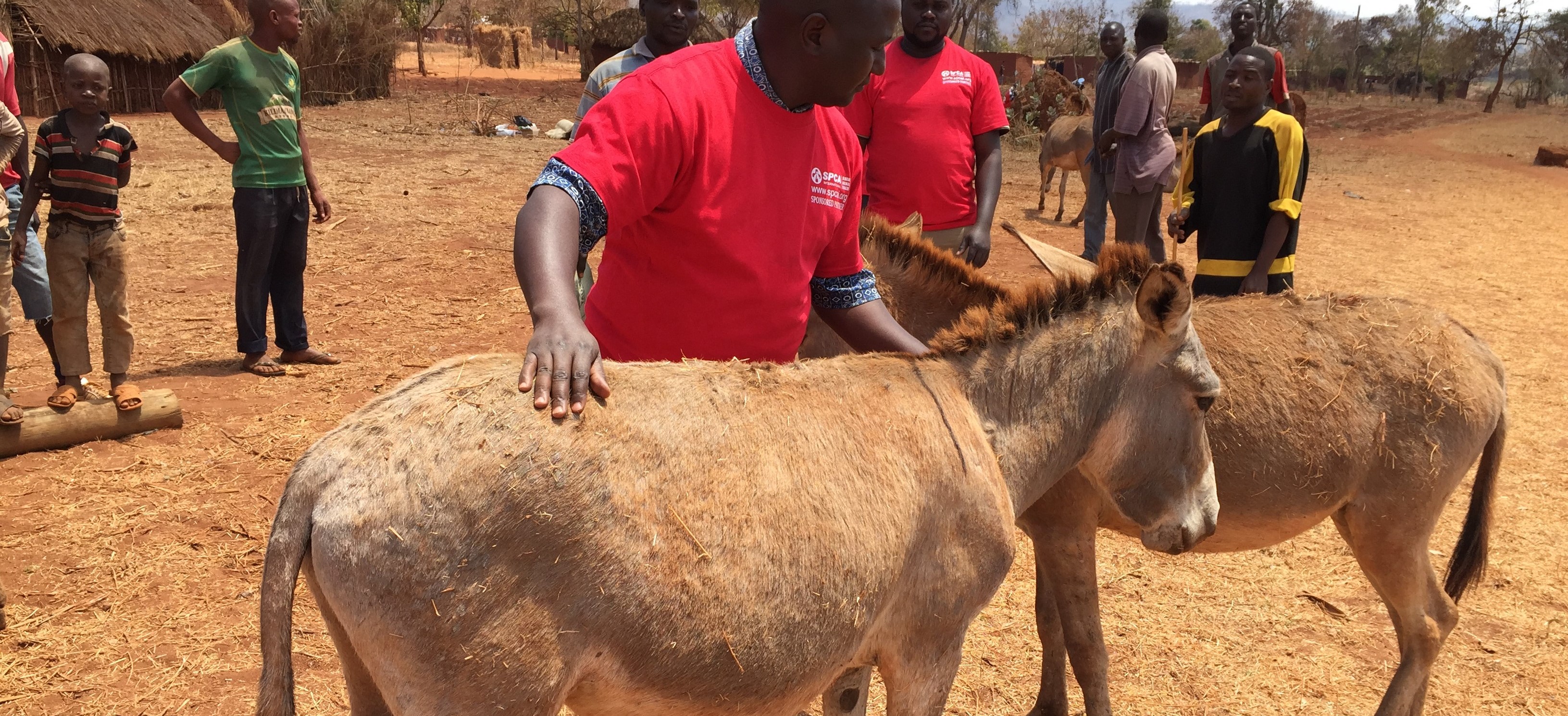Education - SPCA International