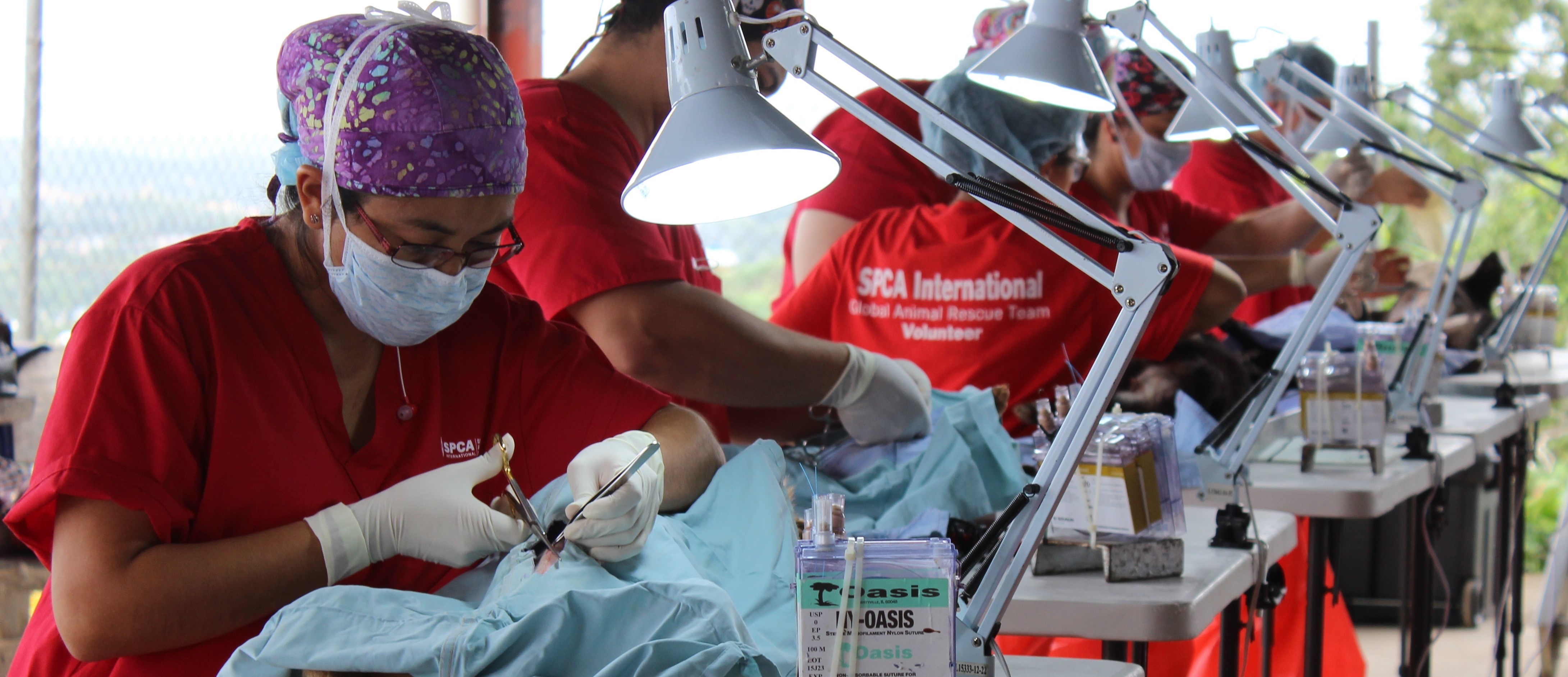 Education - SPCA International