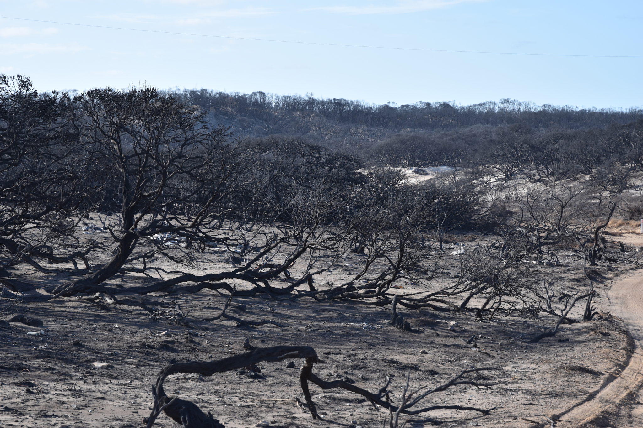 Wildlife Rescue Vehicles in Australia - SPCA International