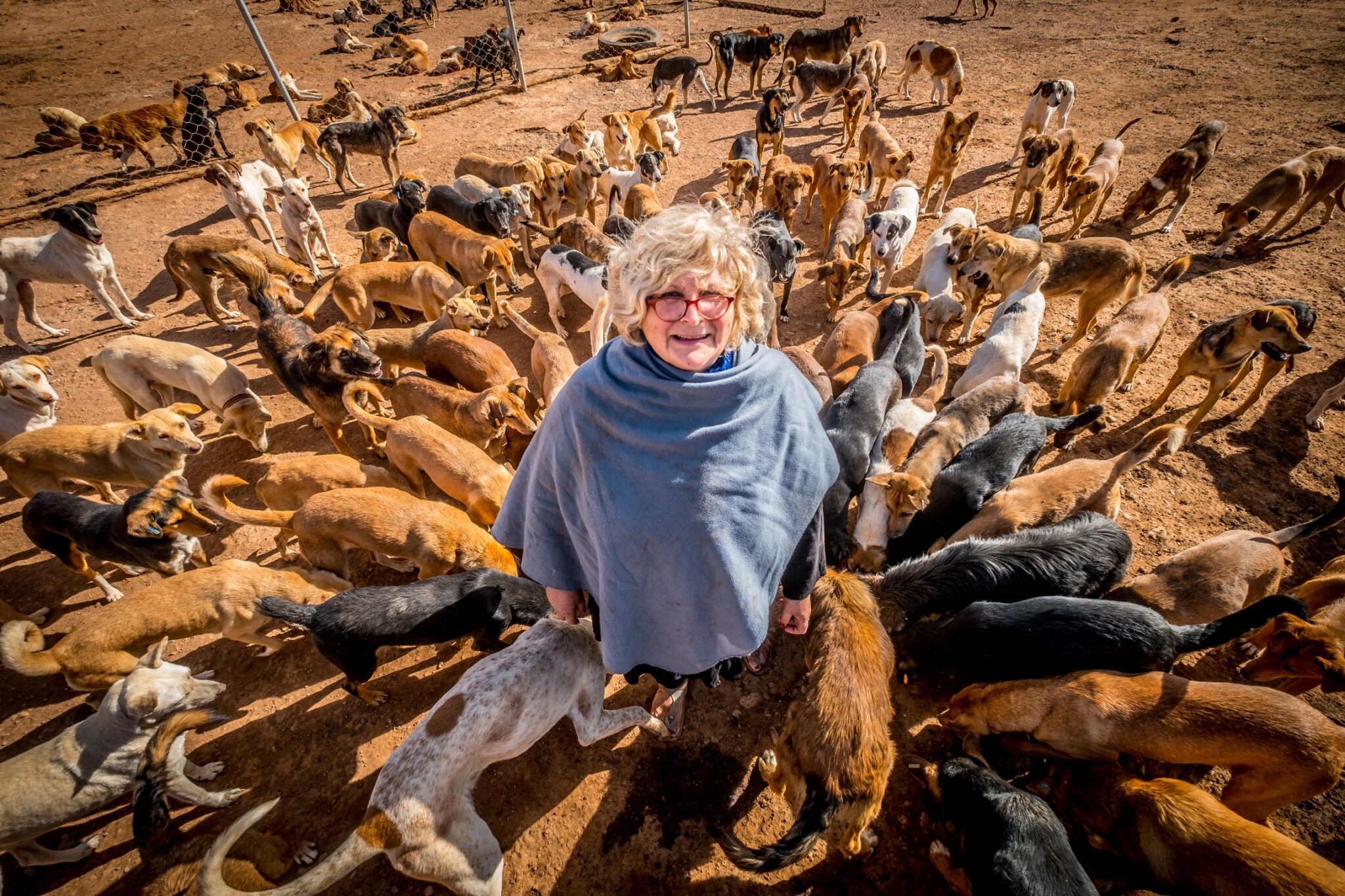 The City of Agadir: A model for animal welfare in Morocco - SPCA ...