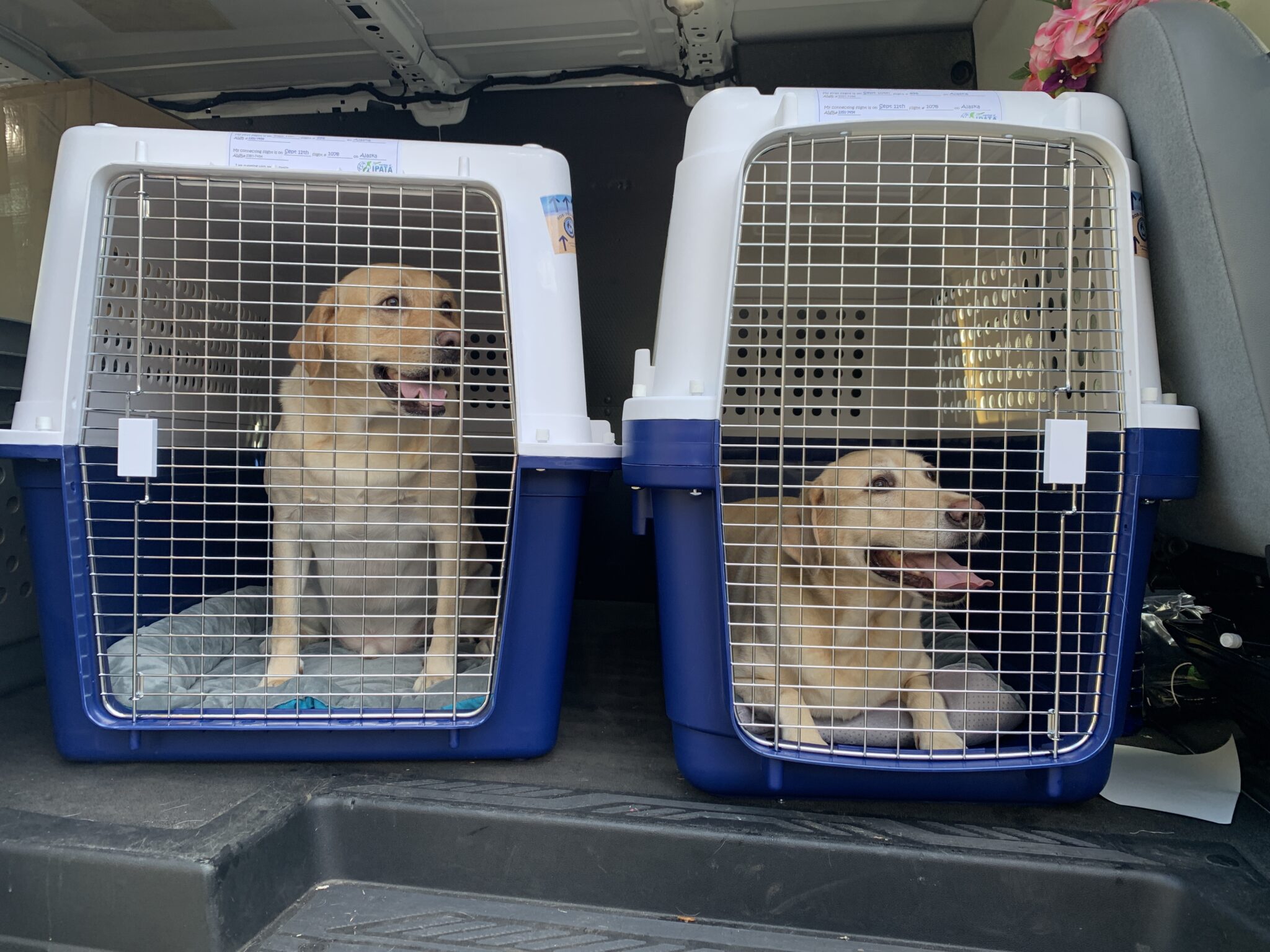 Operation Military Pets Program Keeps Military Families Whole - SPCA ...