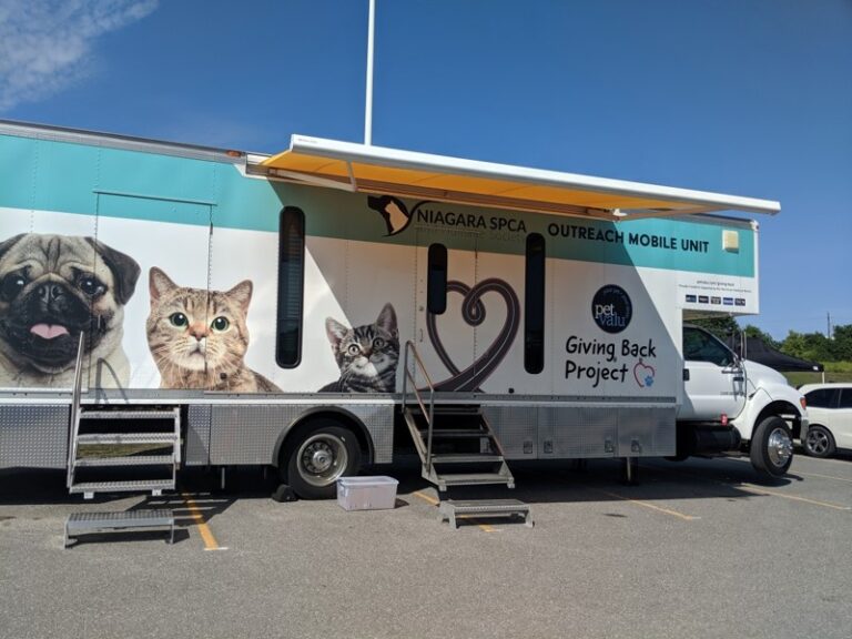 Niagara SPCA and Humane Societies - SPCA International