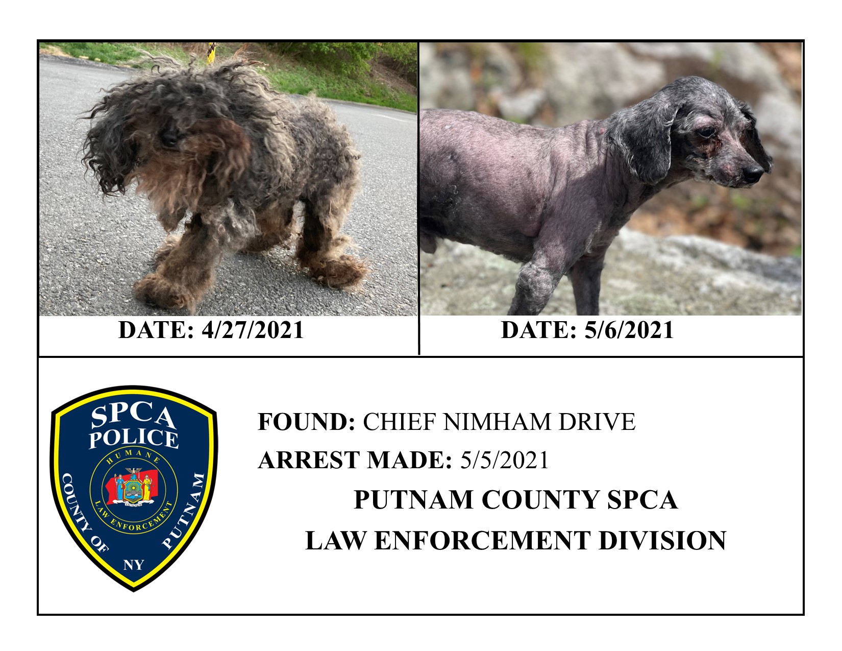 Putnam County SPCA - SPCA International