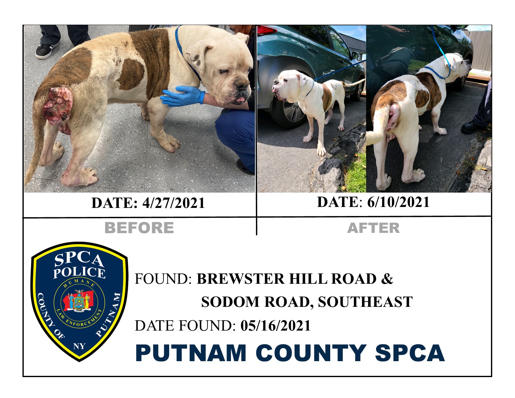 Putnam County SPCA - SPCA International