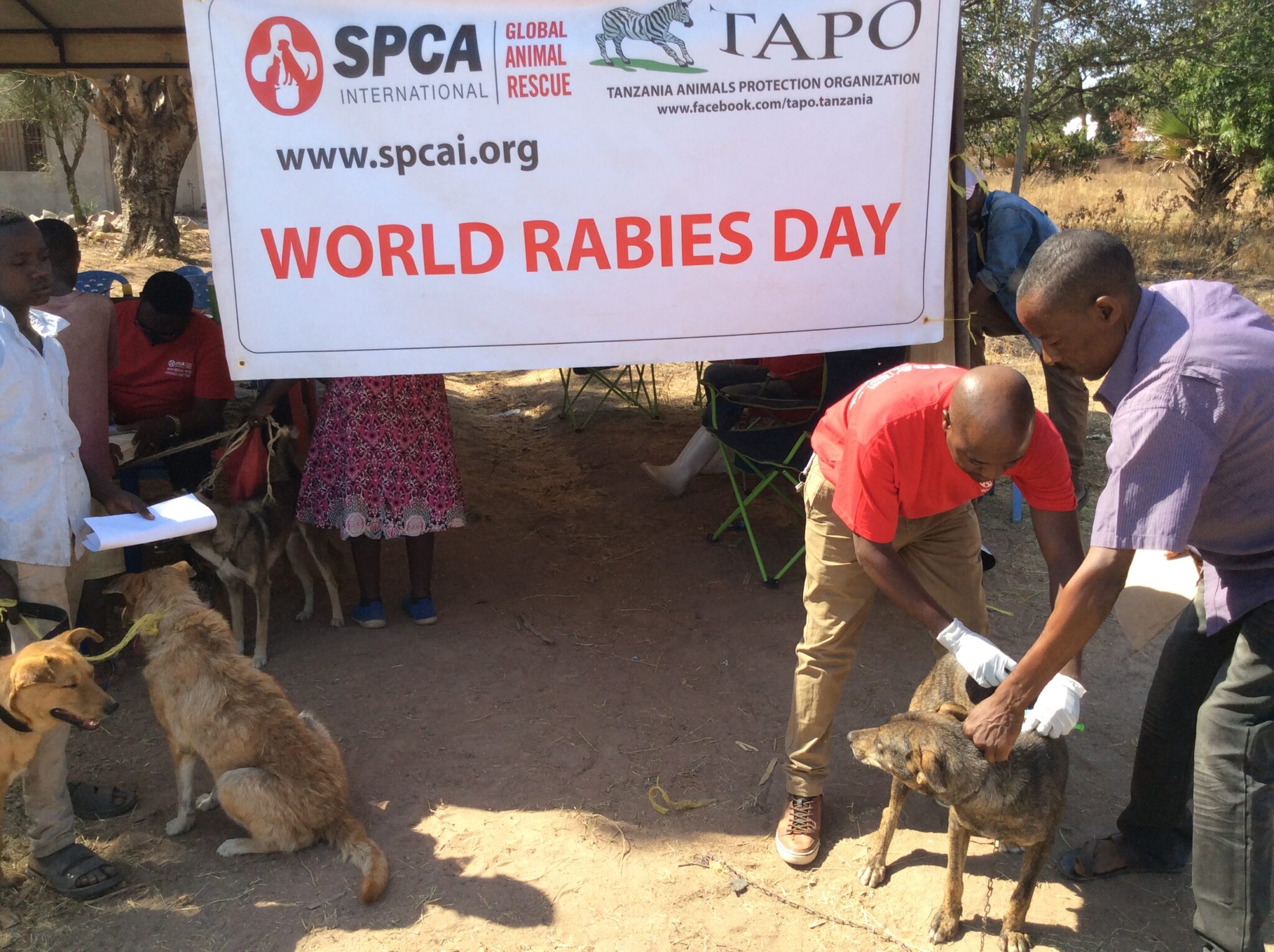 Vaccination Clinic Honors World Rabies Day - SPCA International
