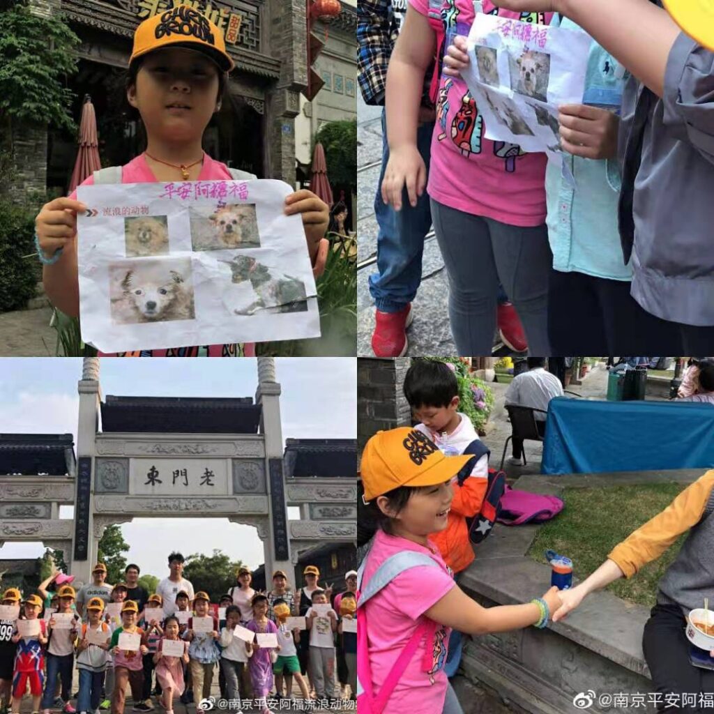 Ping An A Fu Rescue Center - SPCA International