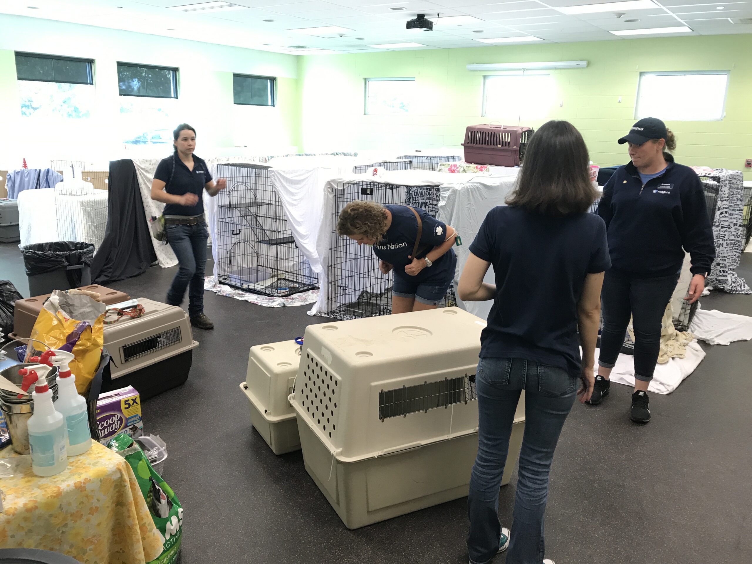 MSPCA-Angell - SPCA International