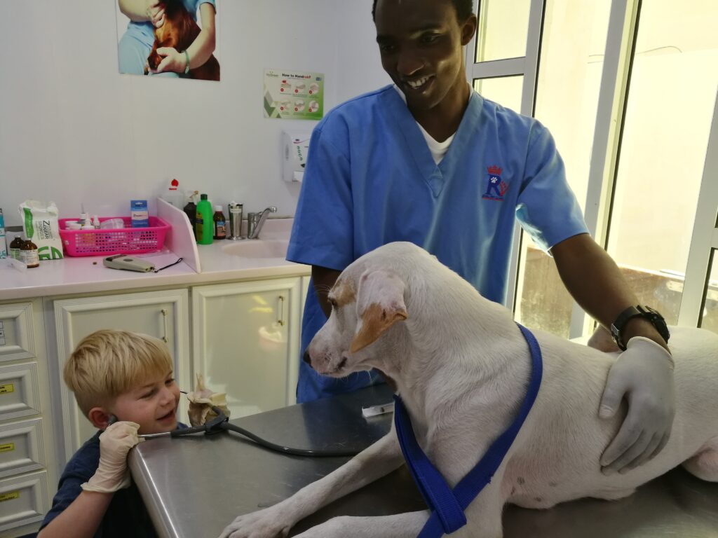 Paws Rescue Qatar - SPCA International