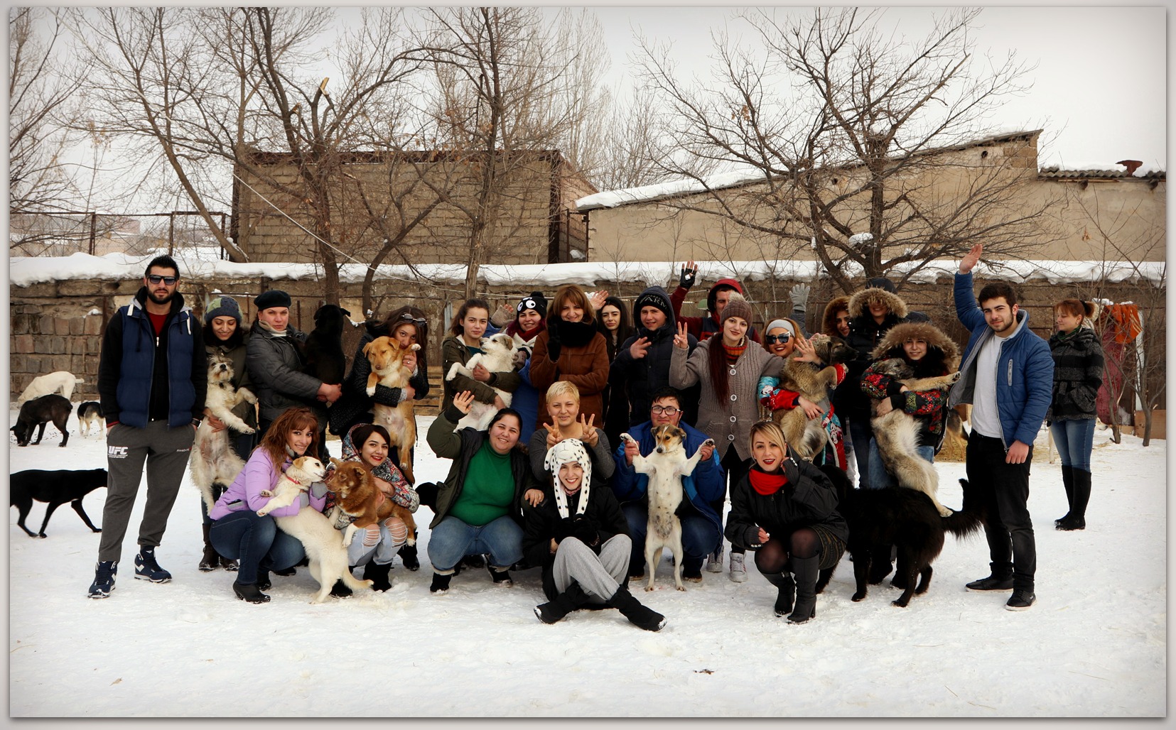 Animal Welfare "Dingo Team" - SPCA International