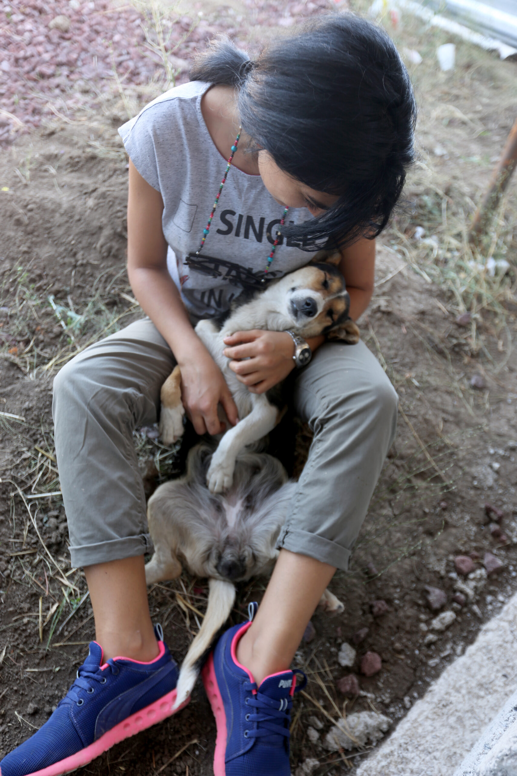 Animal Welfare "Dingo Team" - SPCA International