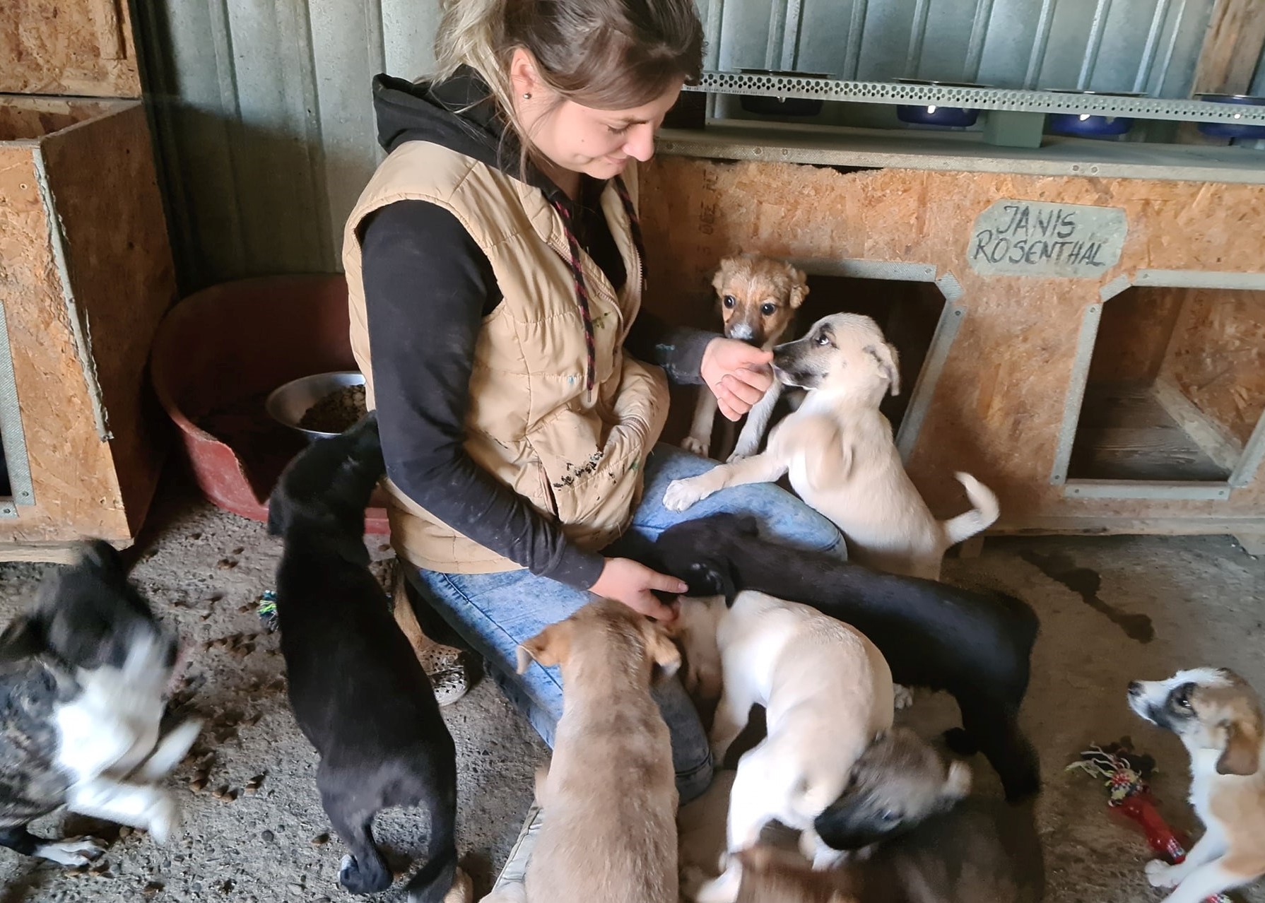 Women in Animal Welfare Spotlight: Alexandra Sava - SPCA International