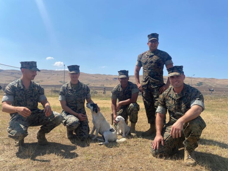 Rescuing Animals Across the Globe - SPCA International