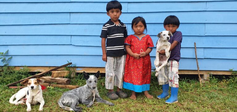 Rescuing Animals Across the Globe - SPCA International