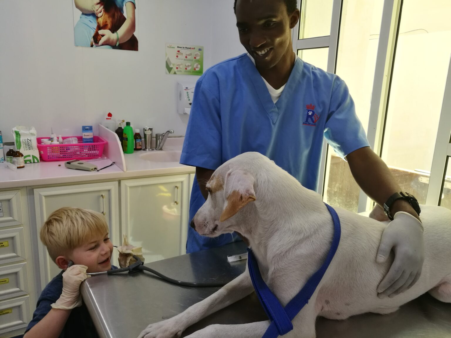 Rescuing Animals Across the Globe - SPCA International