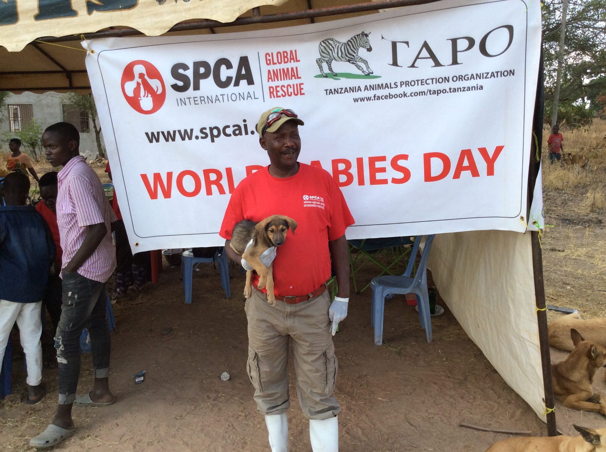 Rescuing Animals Across the Globe - SPCA International