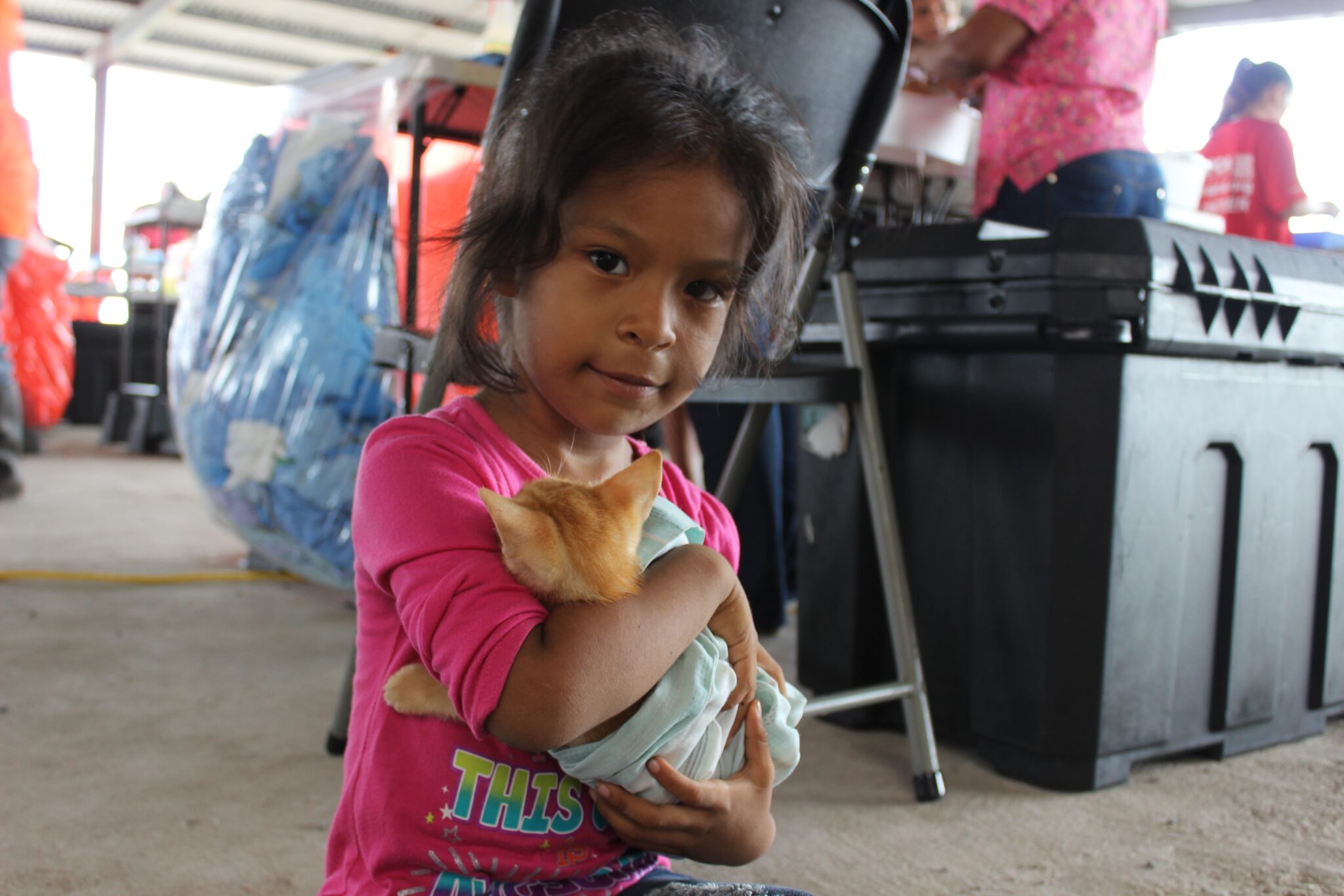 Rescuing Animals Across the Globe - SPCA International