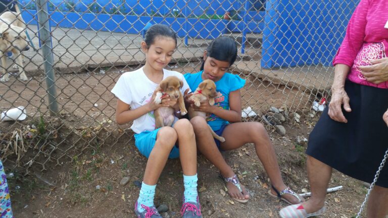 Rescuing Animals Across the Globe - SPCA International