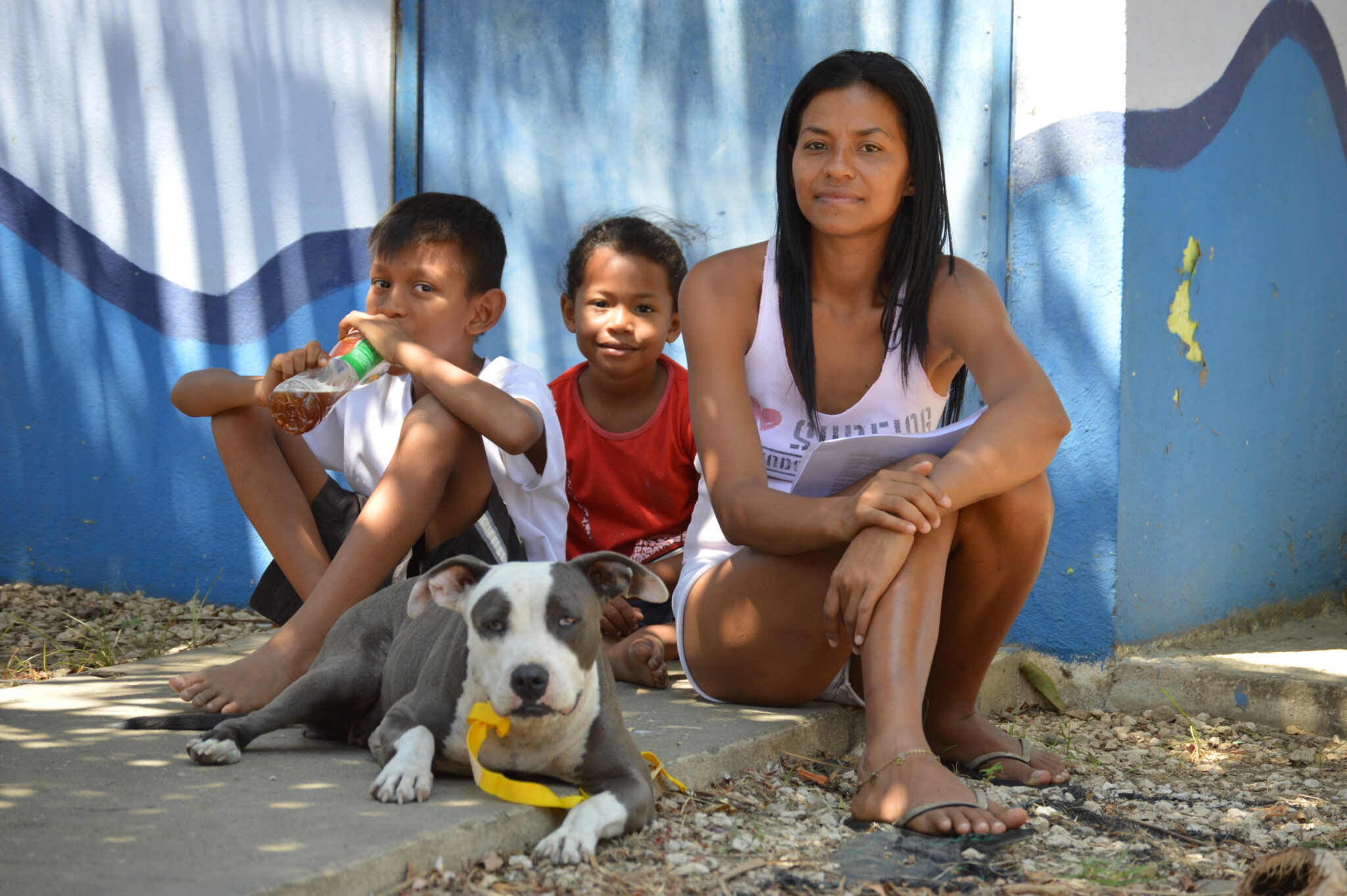 Rescuing Animals Across the Globe - SPCA International