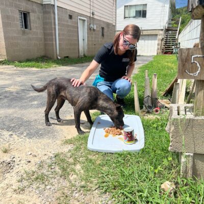 Kentucky Humane Society - SPCA International