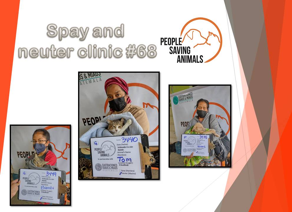 People Saving Animals - SPCA International