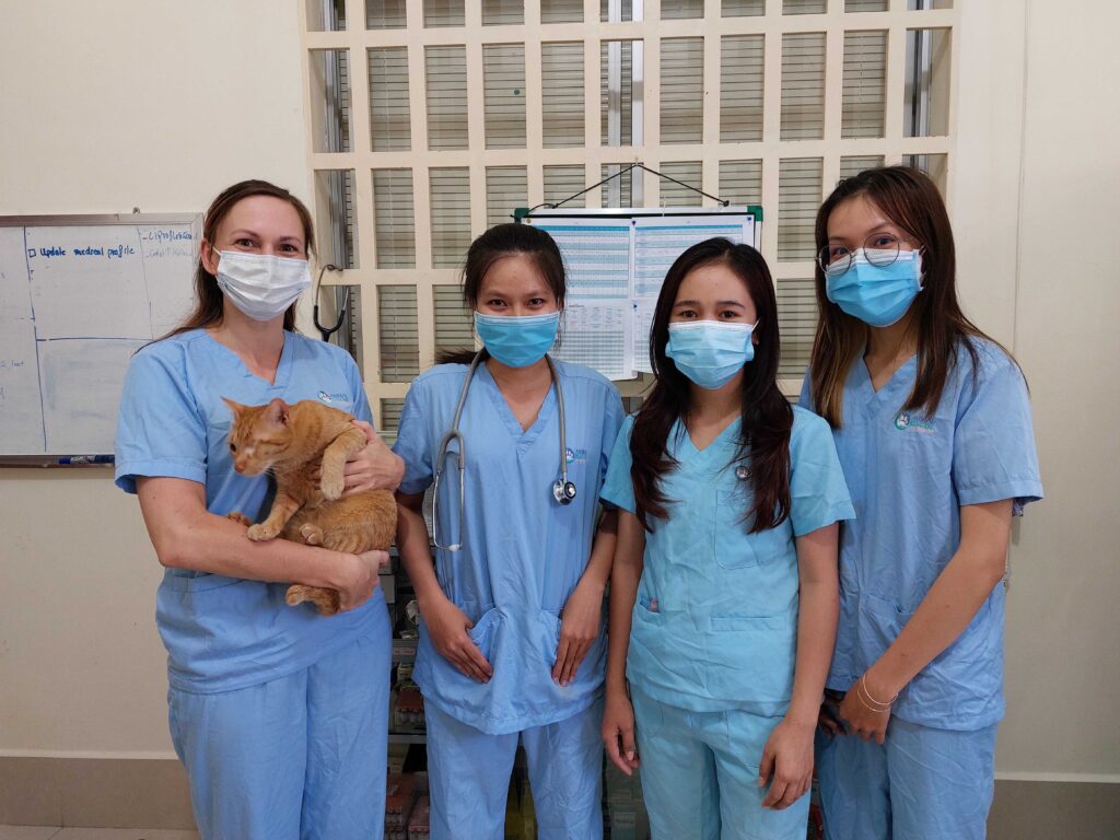 Worldwide Veterinary Service Cambodia - SPCA International