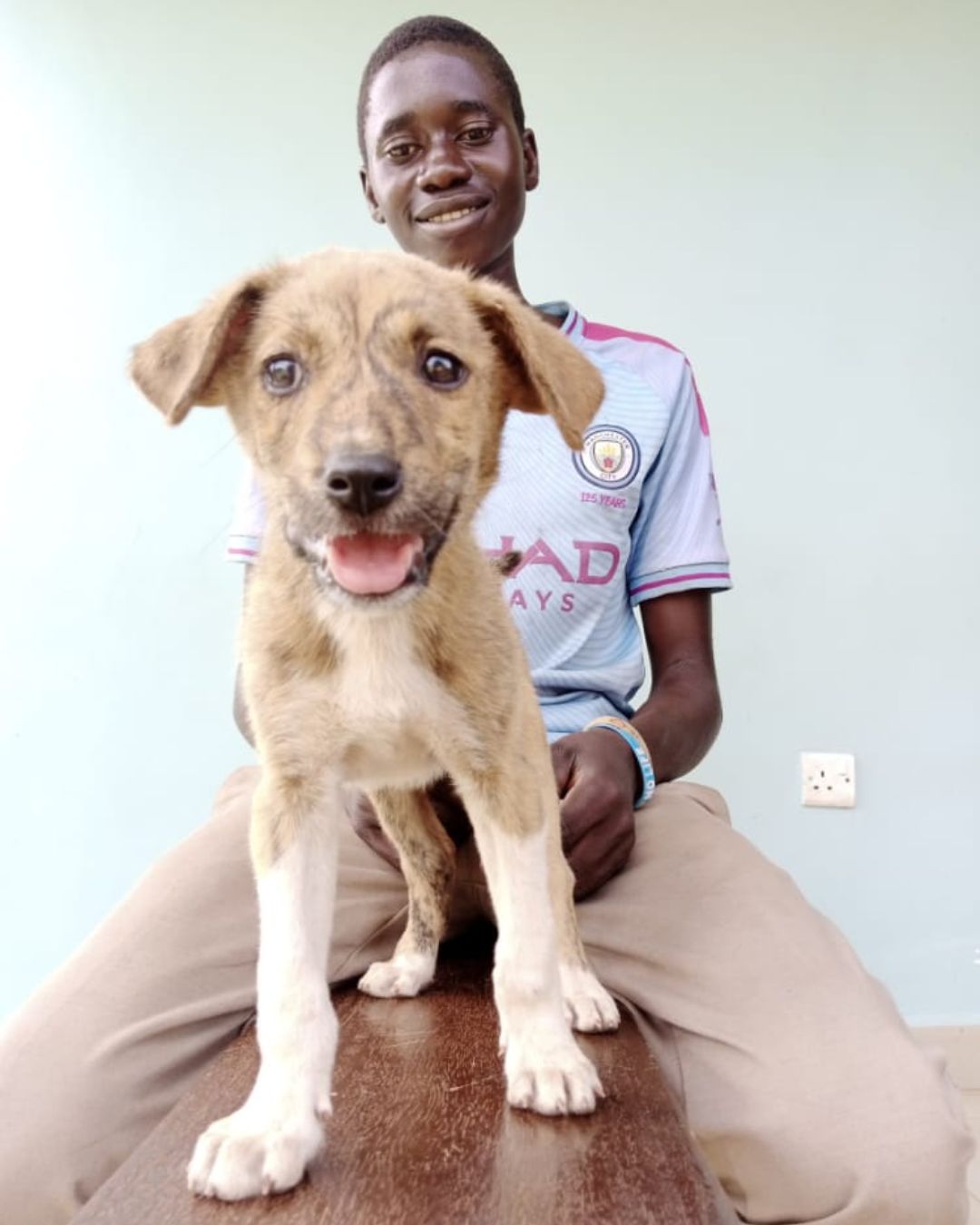 Shelter Spotlight: Big Fix Uganda - SPCA International