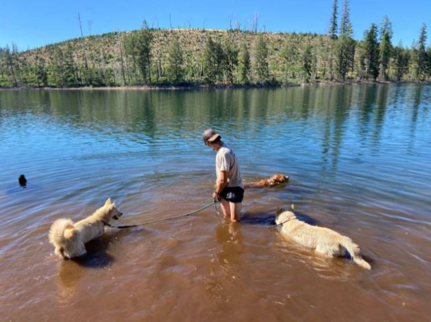 Play For A Stray: Rubicon Husky Rescue - SPCA International