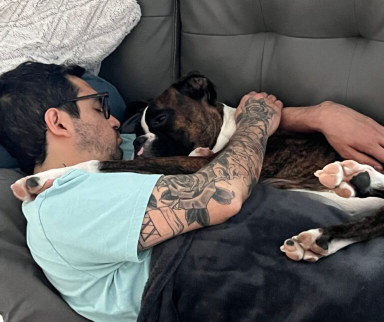 A New Leash On Life - SPCA International