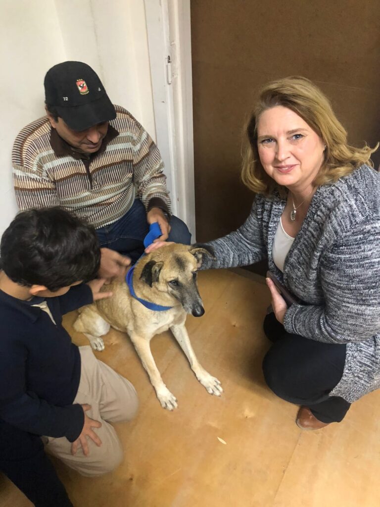 Animal Cairo Animal Rescue Foundation - SPCA International