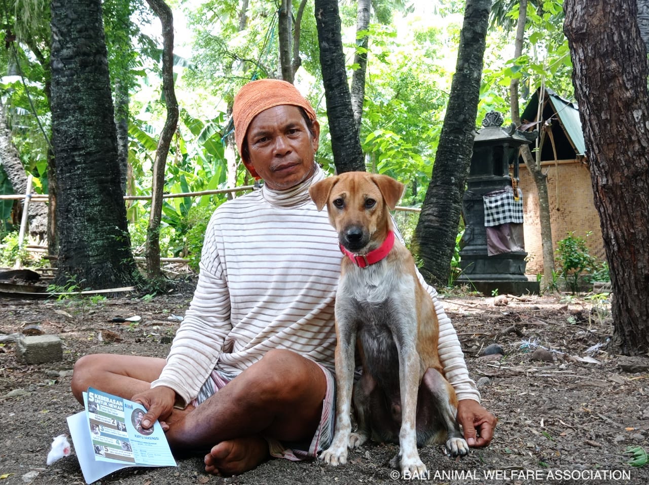 Bali Animal Welfare Association (BAWA) - SPCA International