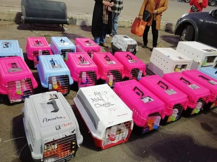 Nile Valley Egyptian Foundation - SPCA International