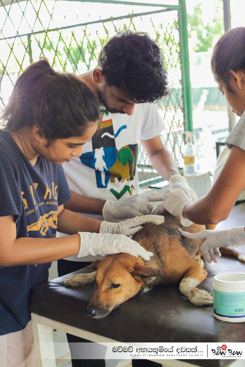Baw Baw Animal Welfare - SPCA International