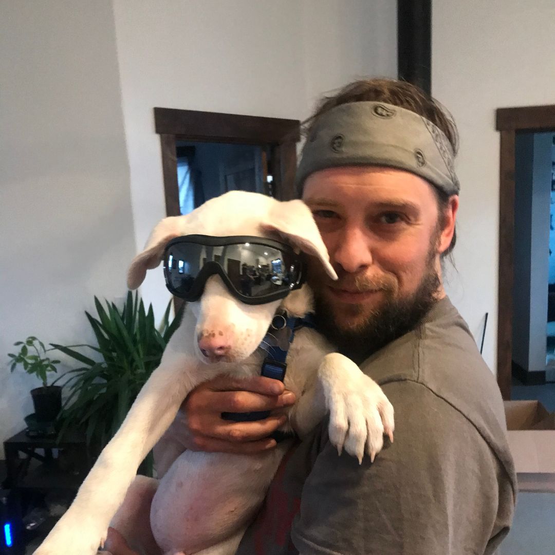 Introducing: PAWsitive Recovery - SPCA International