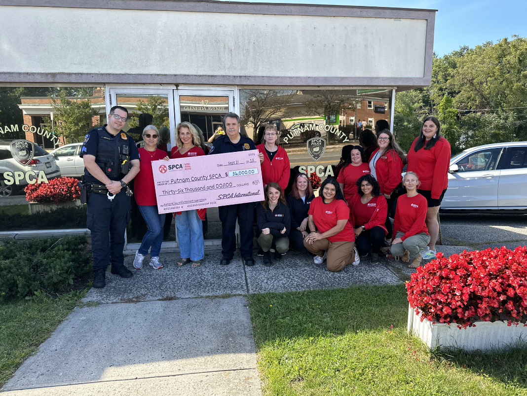 Saving Lives and Seeking Justice - SPCA International