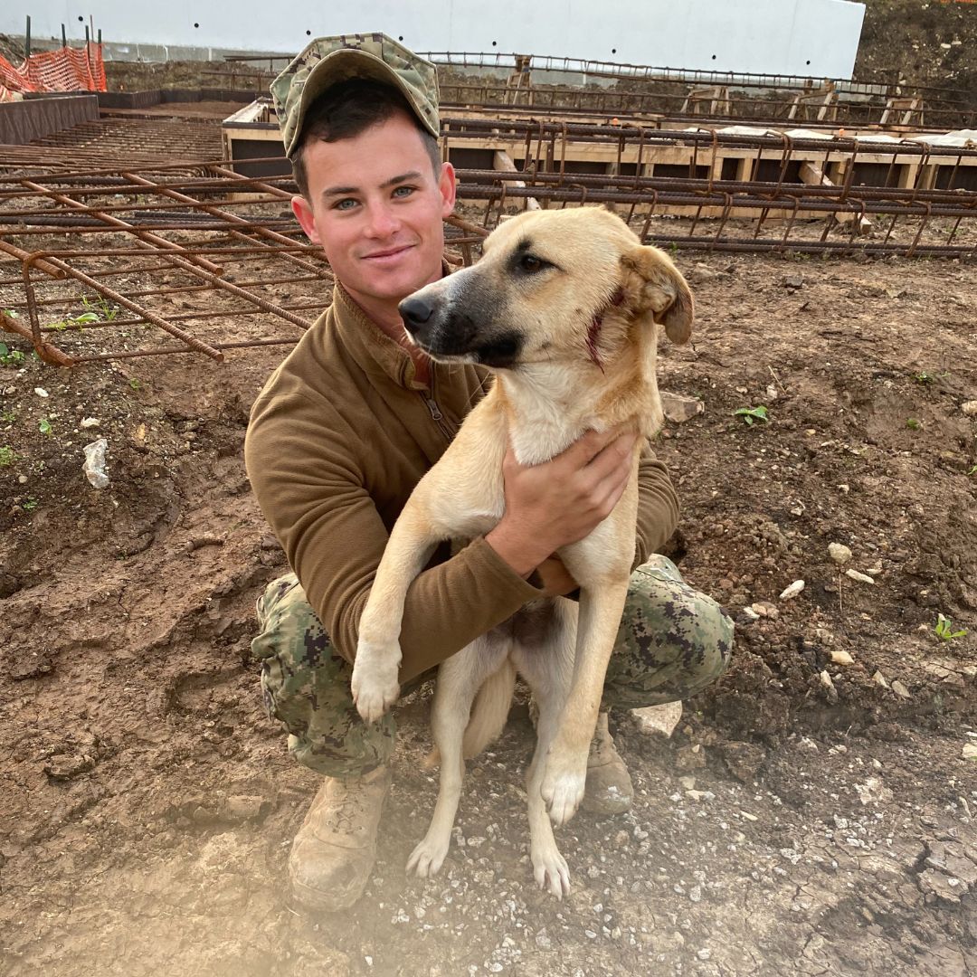 A Soldier’s Best Friend - SPCA International