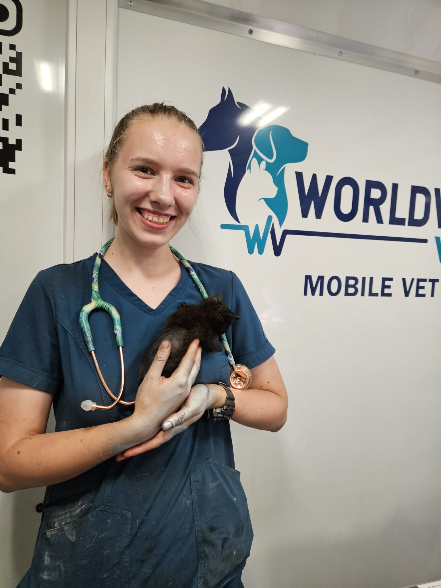 Worldwide Vets - SPCA International