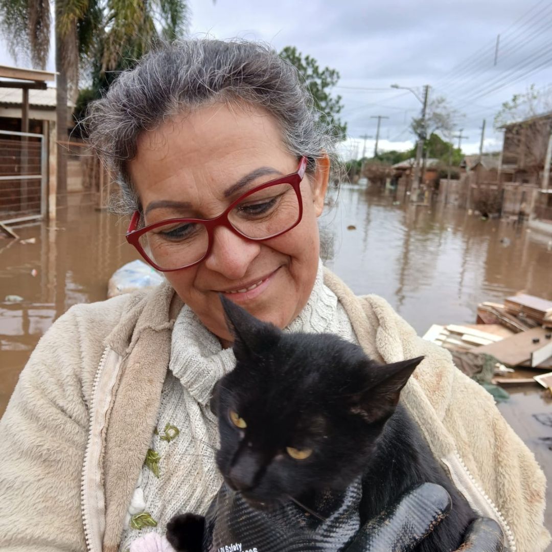 Disaster Relief: Helping Animals Impacted by Flooding in Brazil - SPCA ...