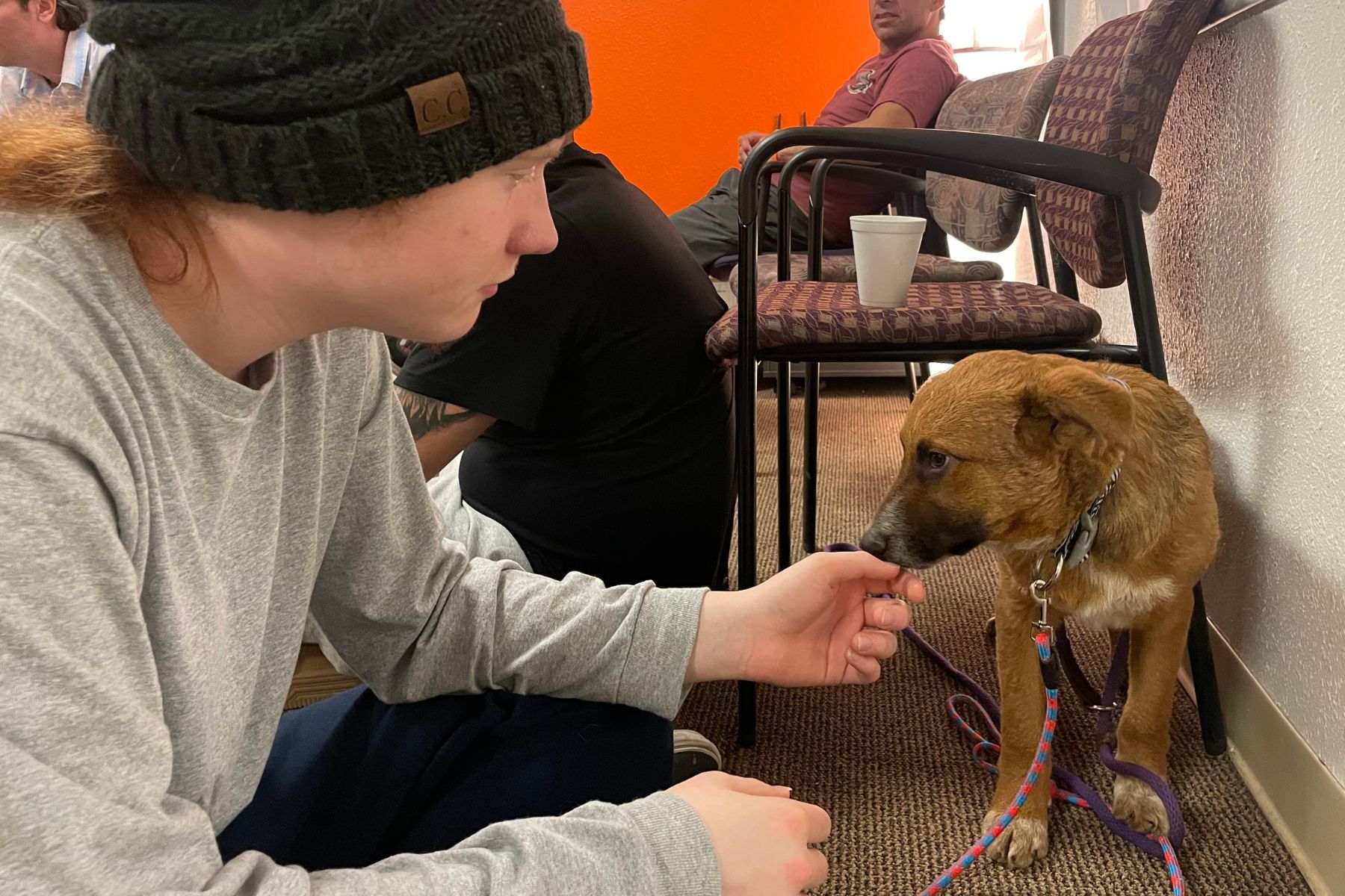 Animal Assisted Therapy - SPCA International