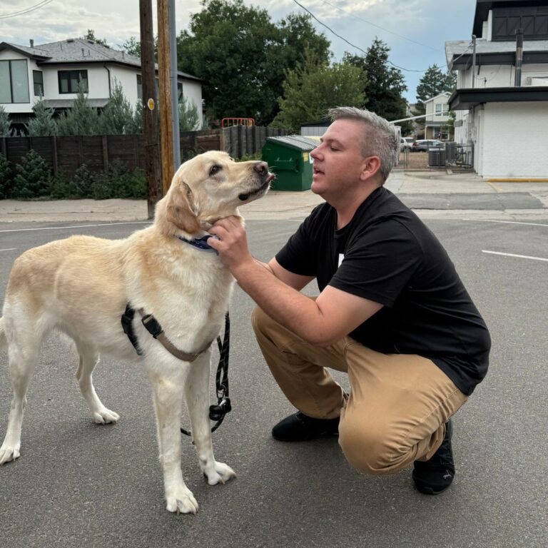 Celebrating Recovery Month: The Impact of PAWsitive Recovery - SPCA ...